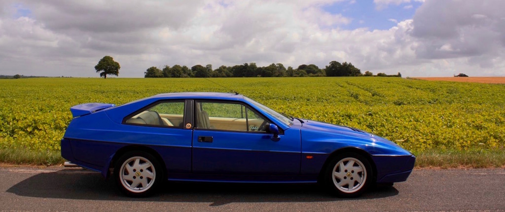 lotus-excel-blue | ViaRETRO